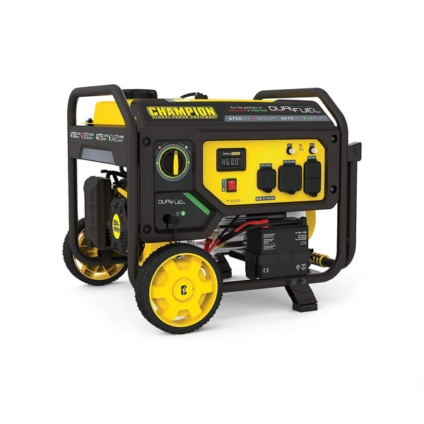 3800-Watt Champion Power Equipment Dual Fuel Portable Generator w/ Ele