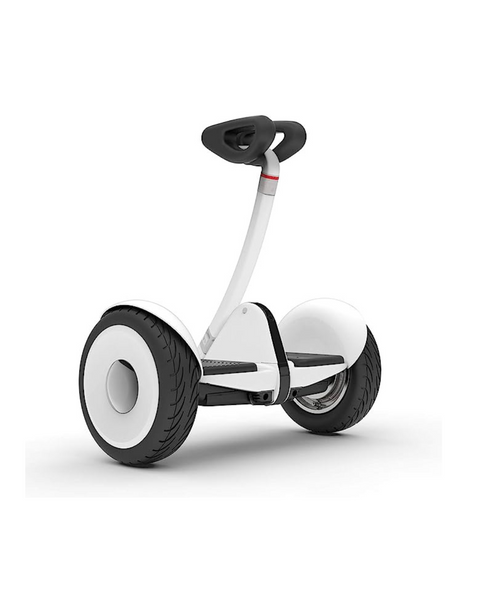 Segway Ninebot S Smart Self-Balancing Electric Scooter